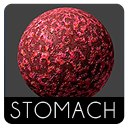 Texture Photoshop anatomy stomach texture