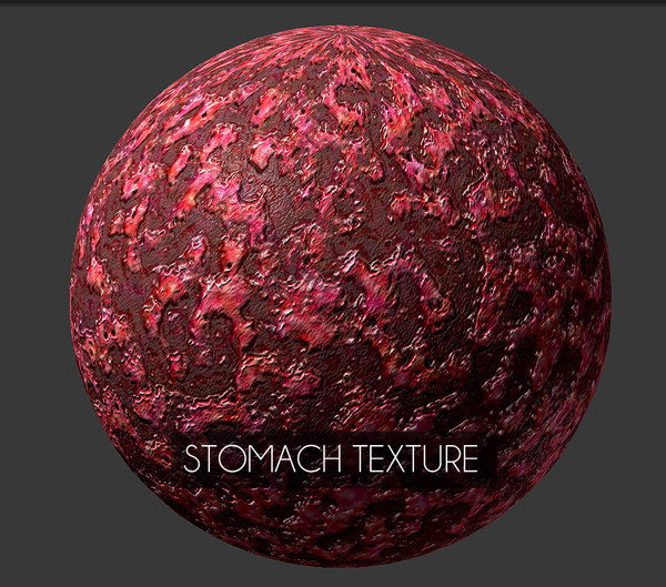 Texture Photoshop anatomy stomach texture