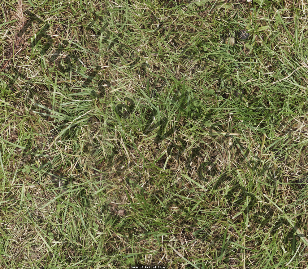 Texture Microsoft DirectDraw Surface Grass Fall Texture