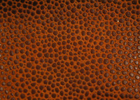 Texture JPEG balls pool texture