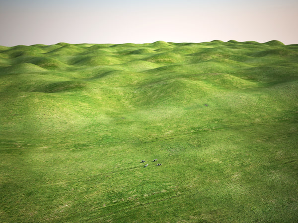 Texture JPEG Grass grass with