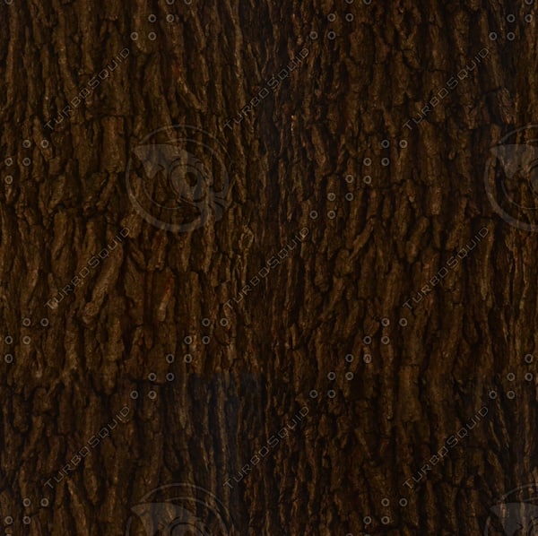Texture JPEG trunk tree hd