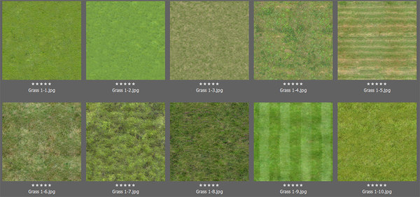 Texture JPEG grass texture terrain