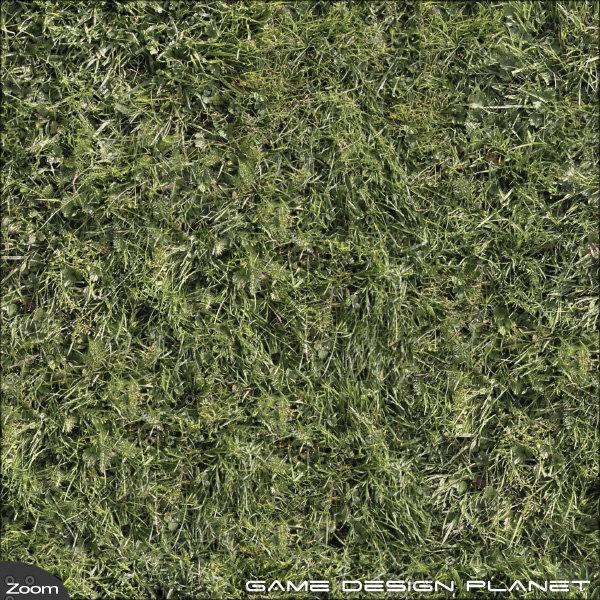 Texture JPEG grass landscape summer