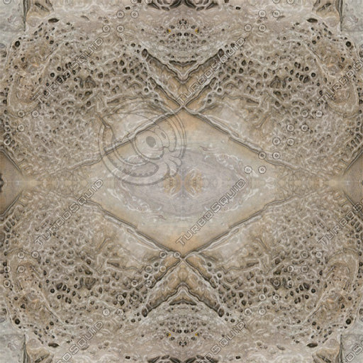 Texture JPEG alien hull seamless