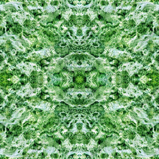 Texture JPEG alien hull seamless