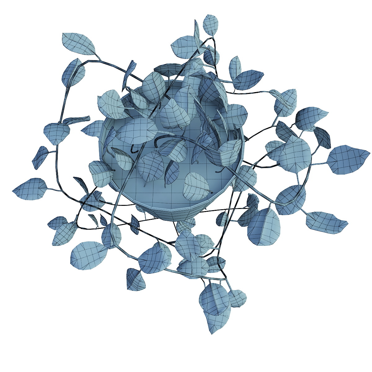 3d model scindapsus aureus 2