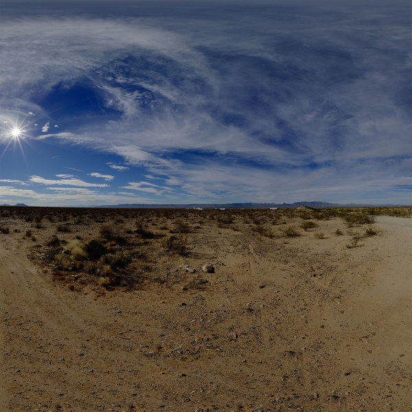 Texture USA Arizona LizardQ