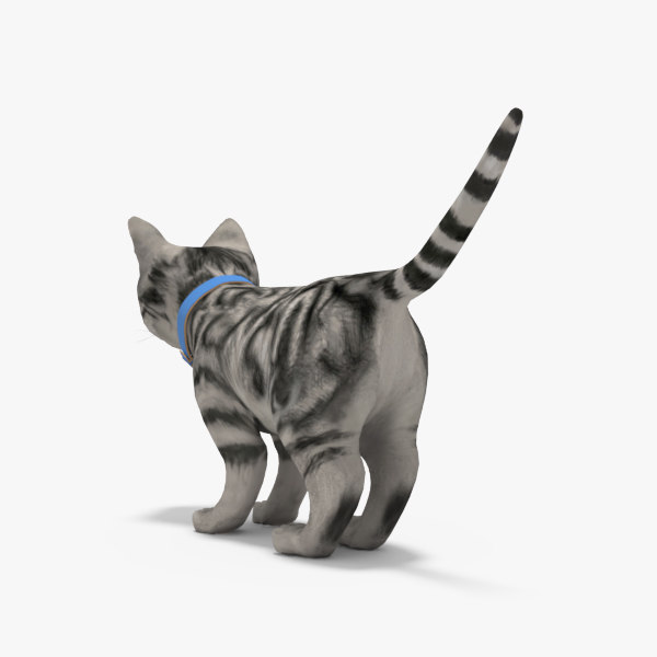 k-3d-turbosquid-835131