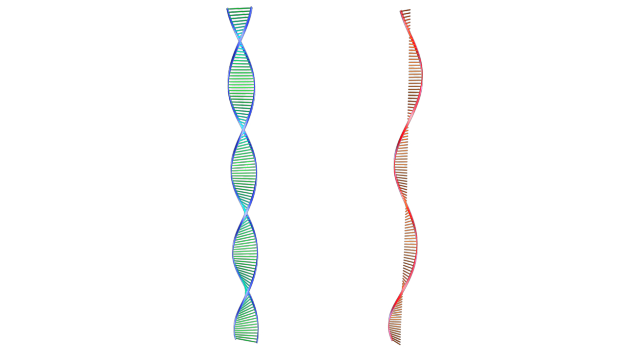 3d model dna molecule rna
