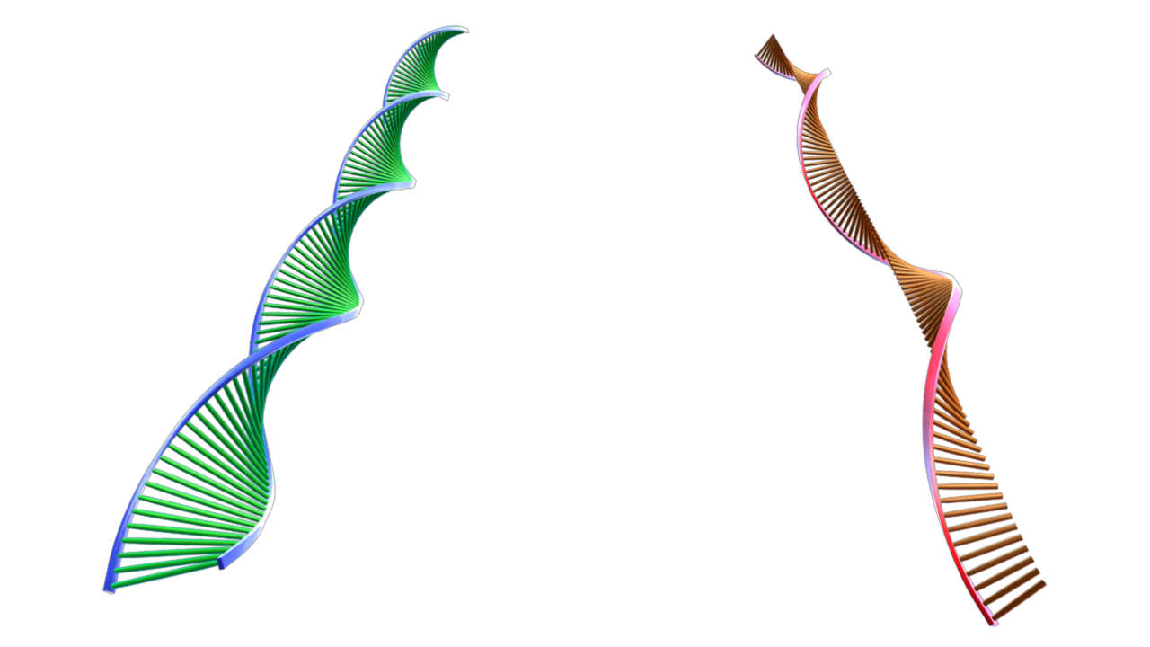3d model dna molecule rna