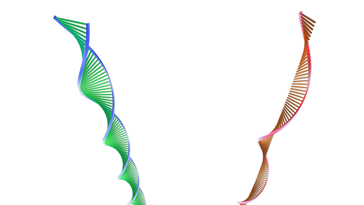 3d model dna molecule rna