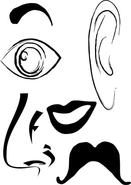 Shapes Adobe Illustrator Face