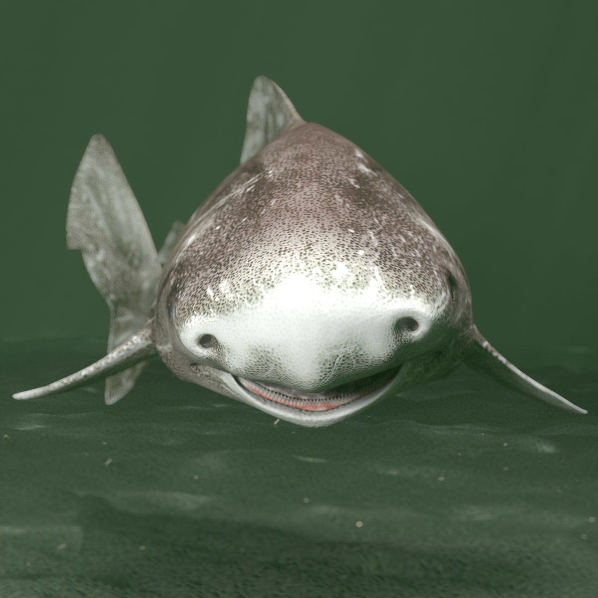 3d animation greenland shark