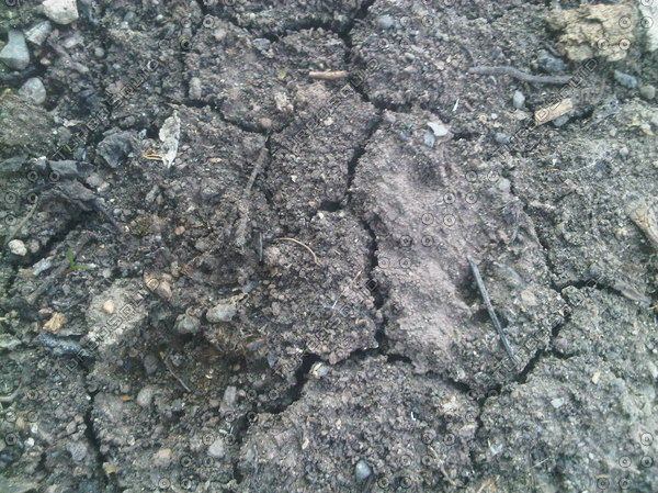 Texture JPEG soil landscape summer