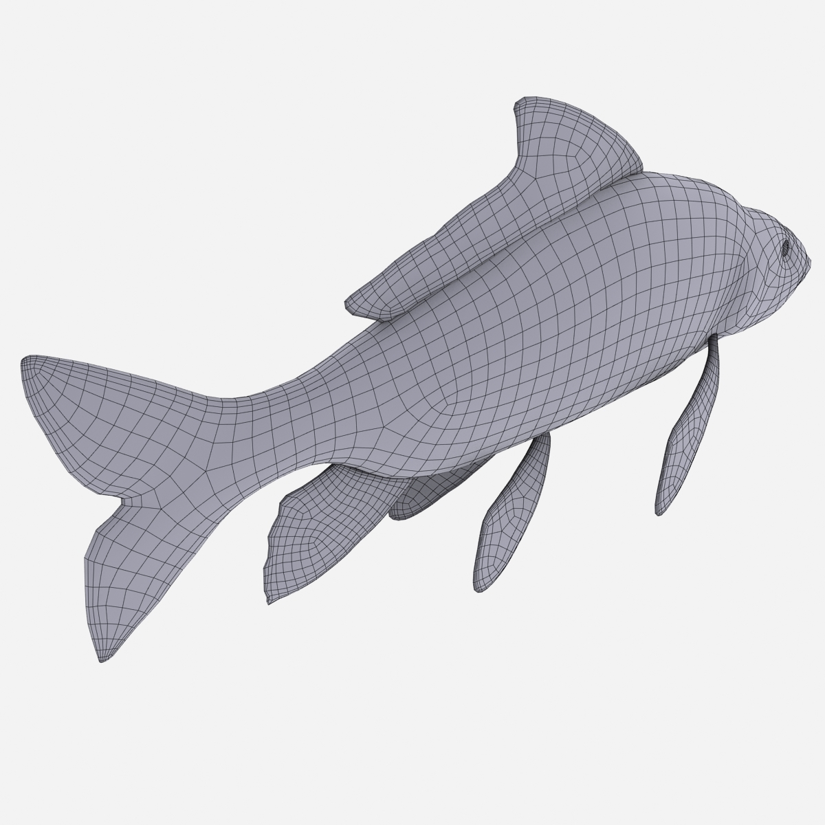 common carp fish 3d 3ds