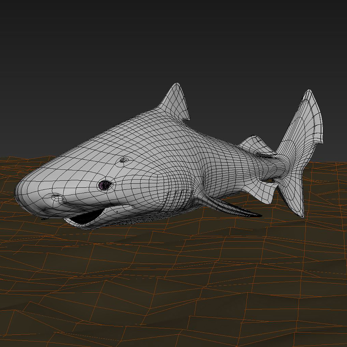 3d animation greenland shark