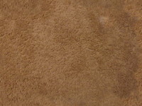 Texture JPEG Woodland pattern ERDL