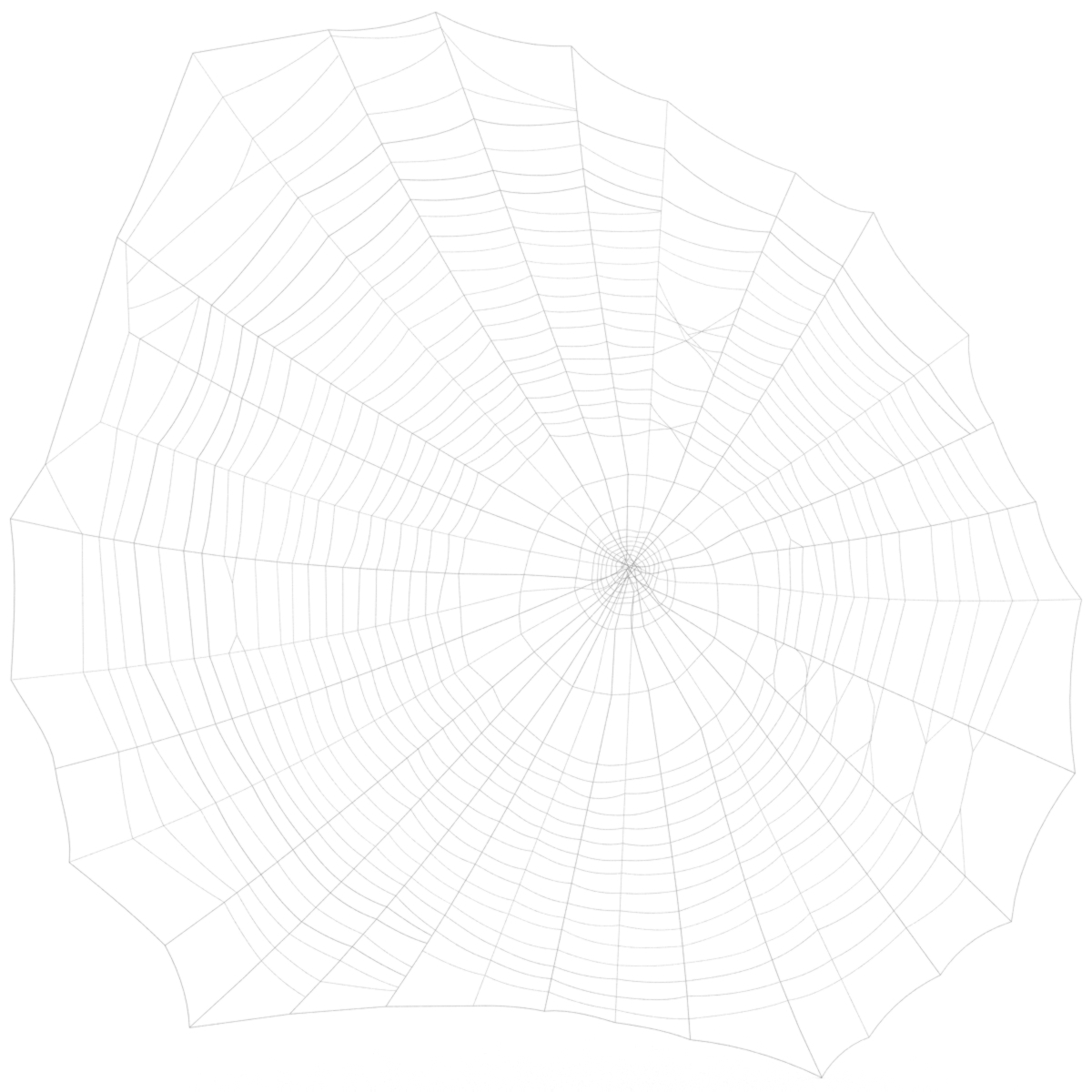 spider web 3d model