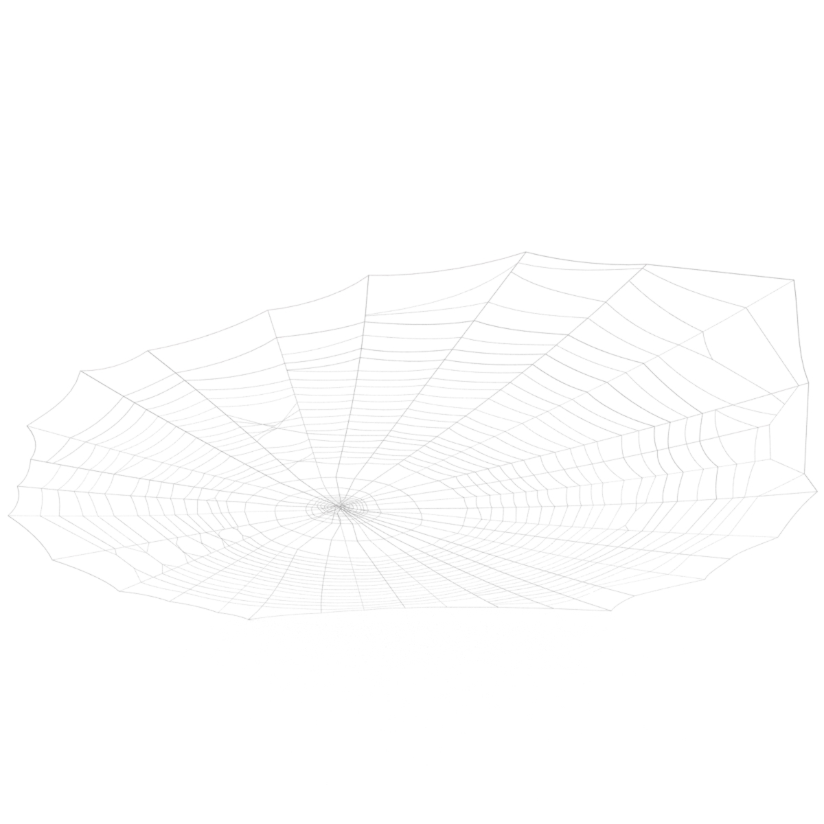 spider web 3d model