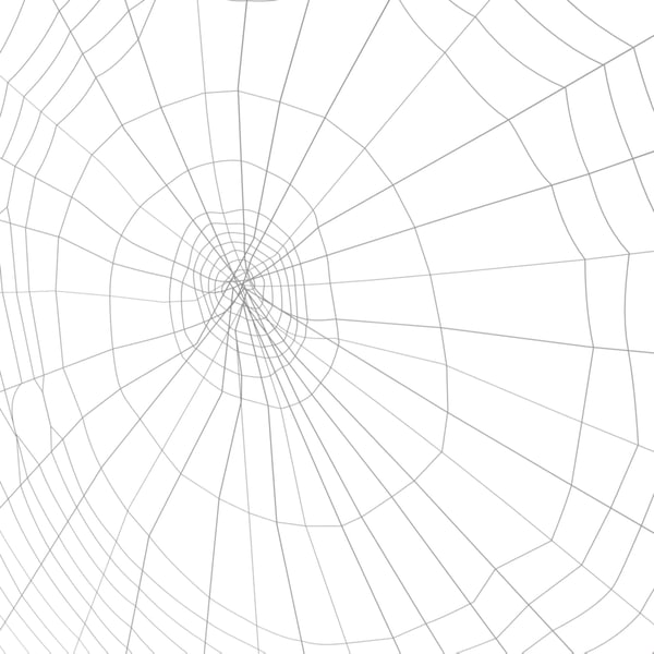 spider web 3d model