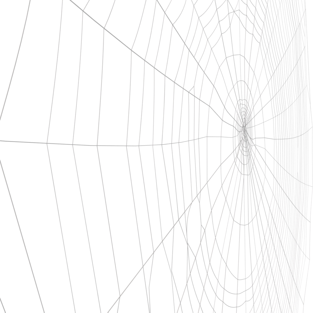 spider web 3d model
