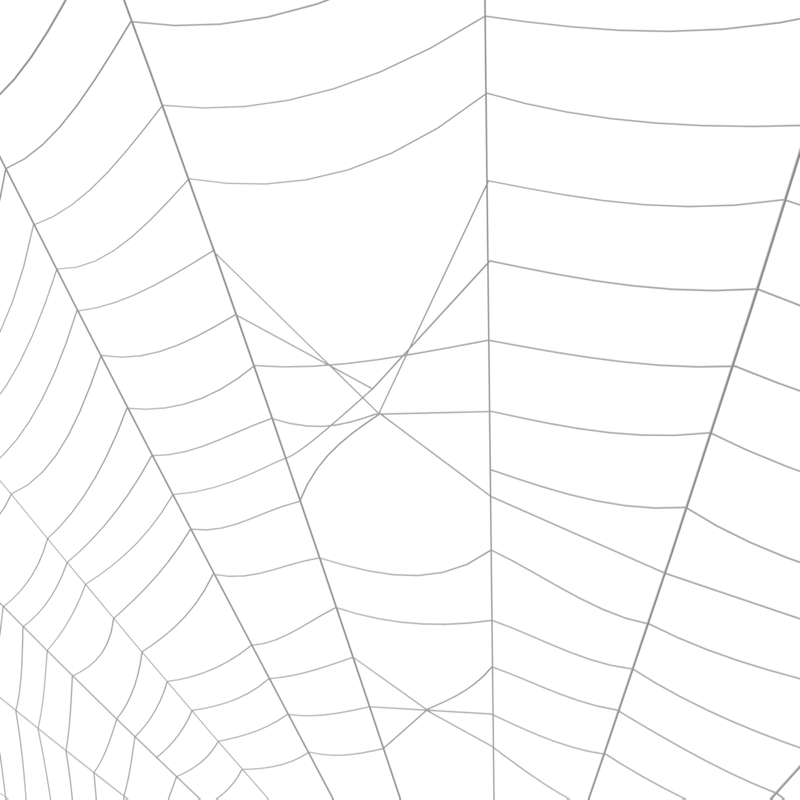 spider web 3d model