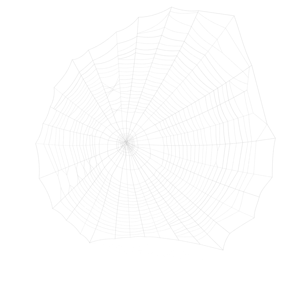 spider web 3d model