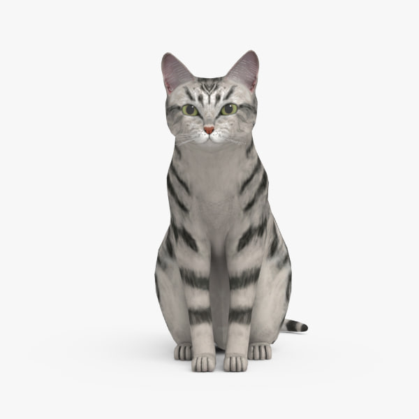 cat 3d model
