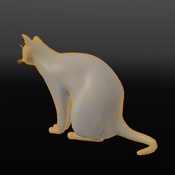 cat 3d model