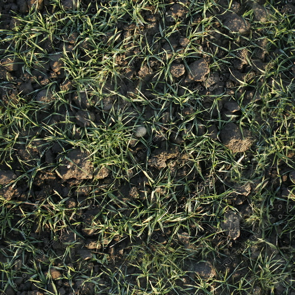 Materials 3ds Max Texture grass land ground