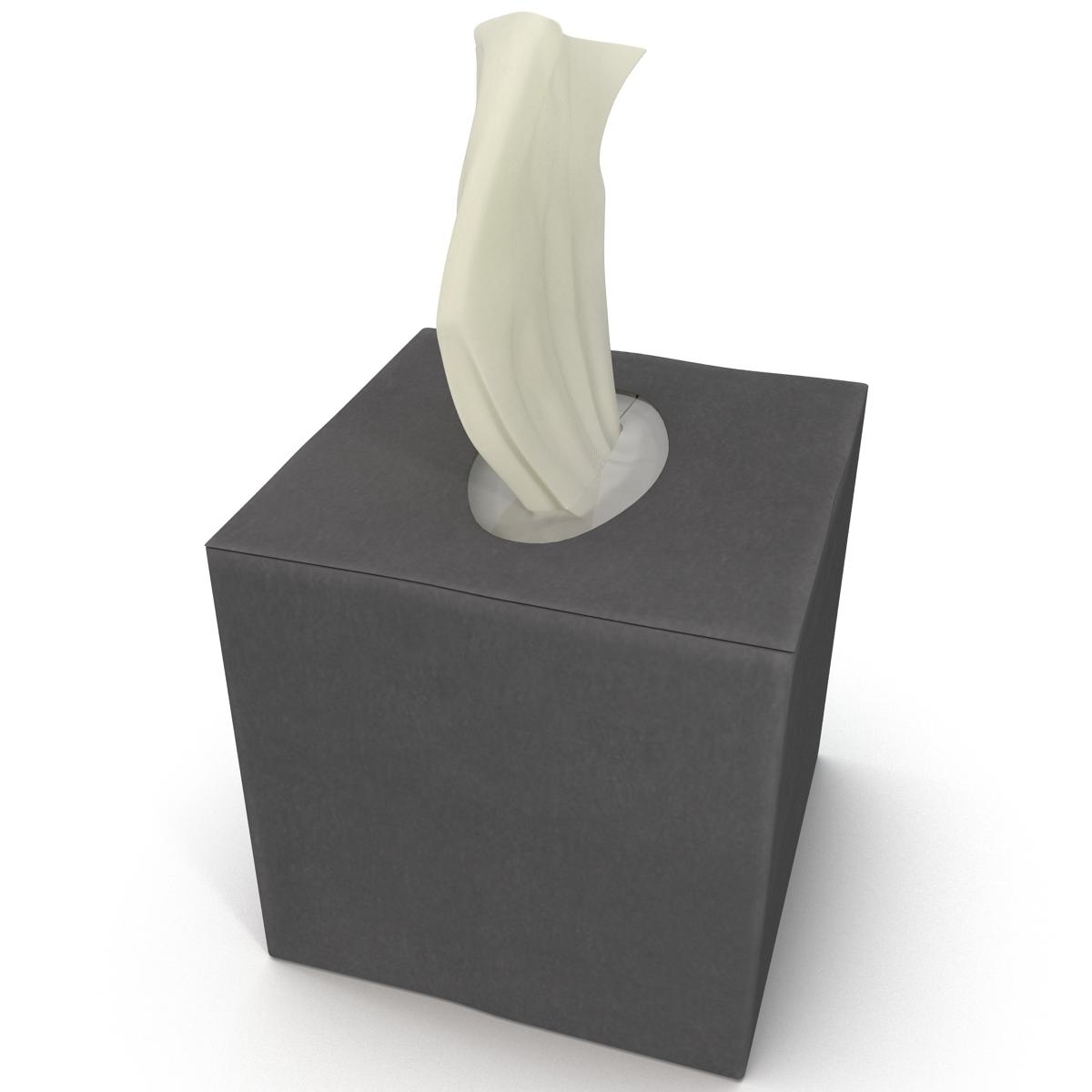 3d tissue box 2 model