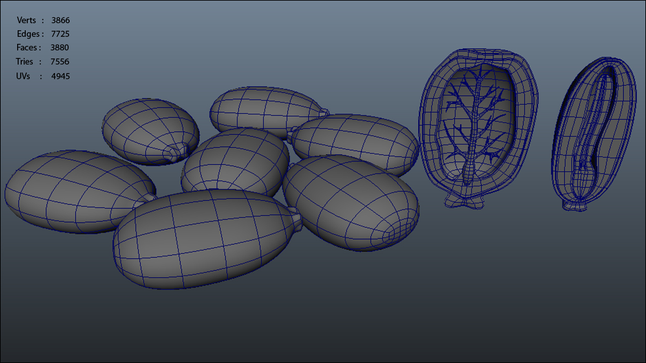 Endosperm von Castor Seed 3D-Modell - TurboSquid 835713