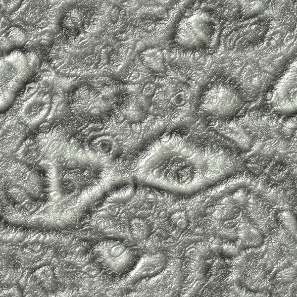 Texture JPEG alien skin organic