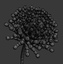 aspergillus fungi 3d max