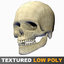 3d human skull polygons model