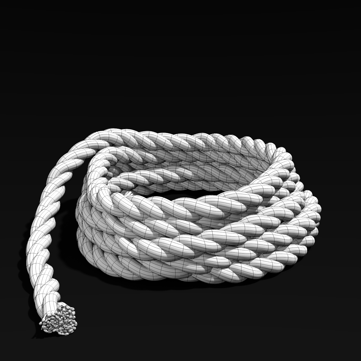 3d rope pile model