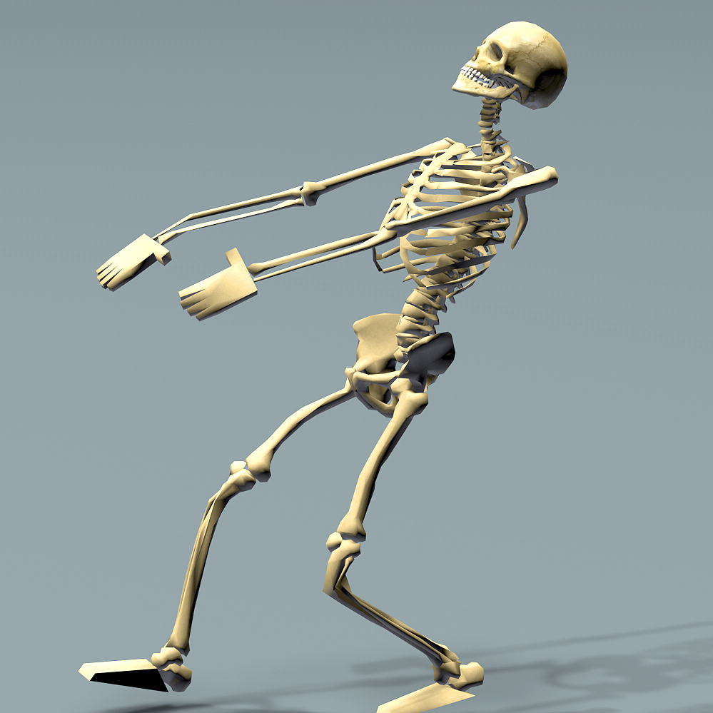 human skeleton 24 animations 3d 3ds