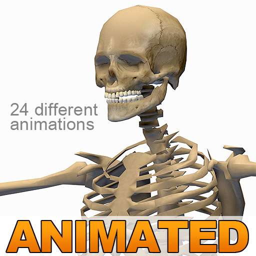 Animated Human Skeleton 3D Models for Download | TurboSquid