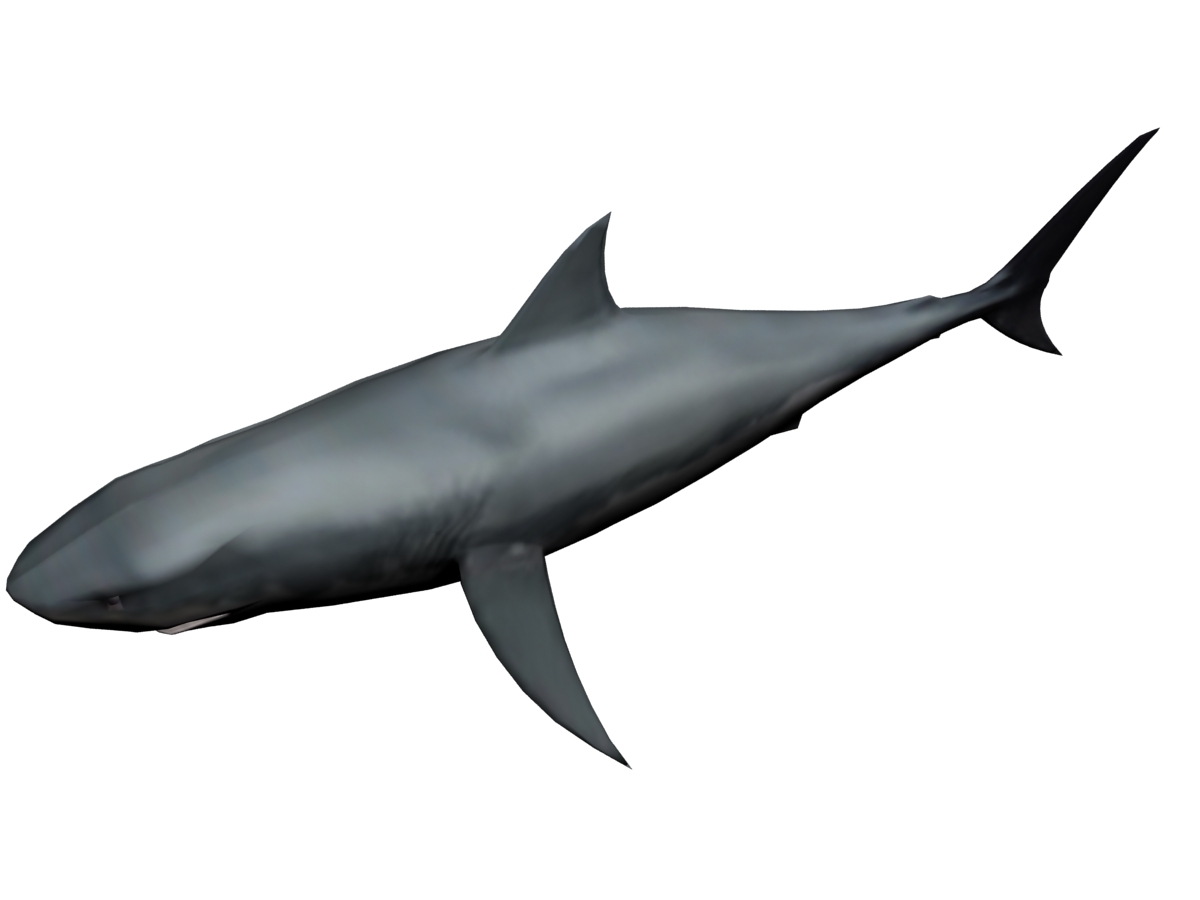 3ds megaldon shark