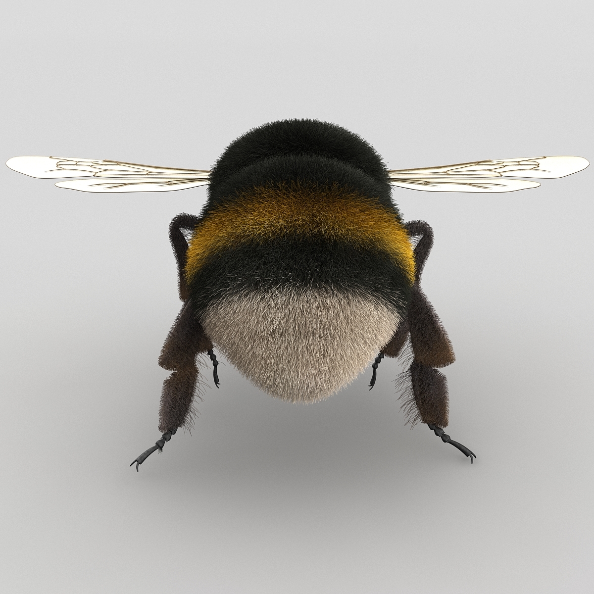 3d bumble bee fur model