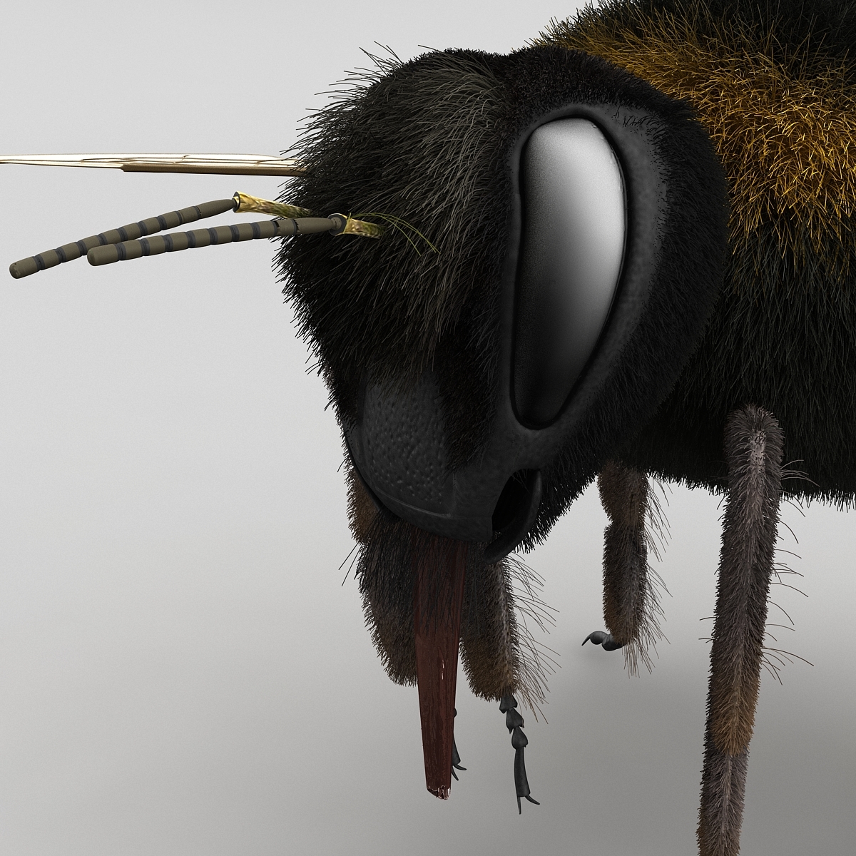 3d bumble bee fur model