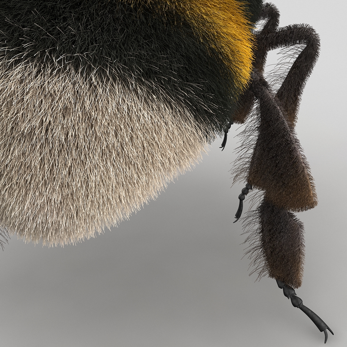 3d bumble bee fur model
