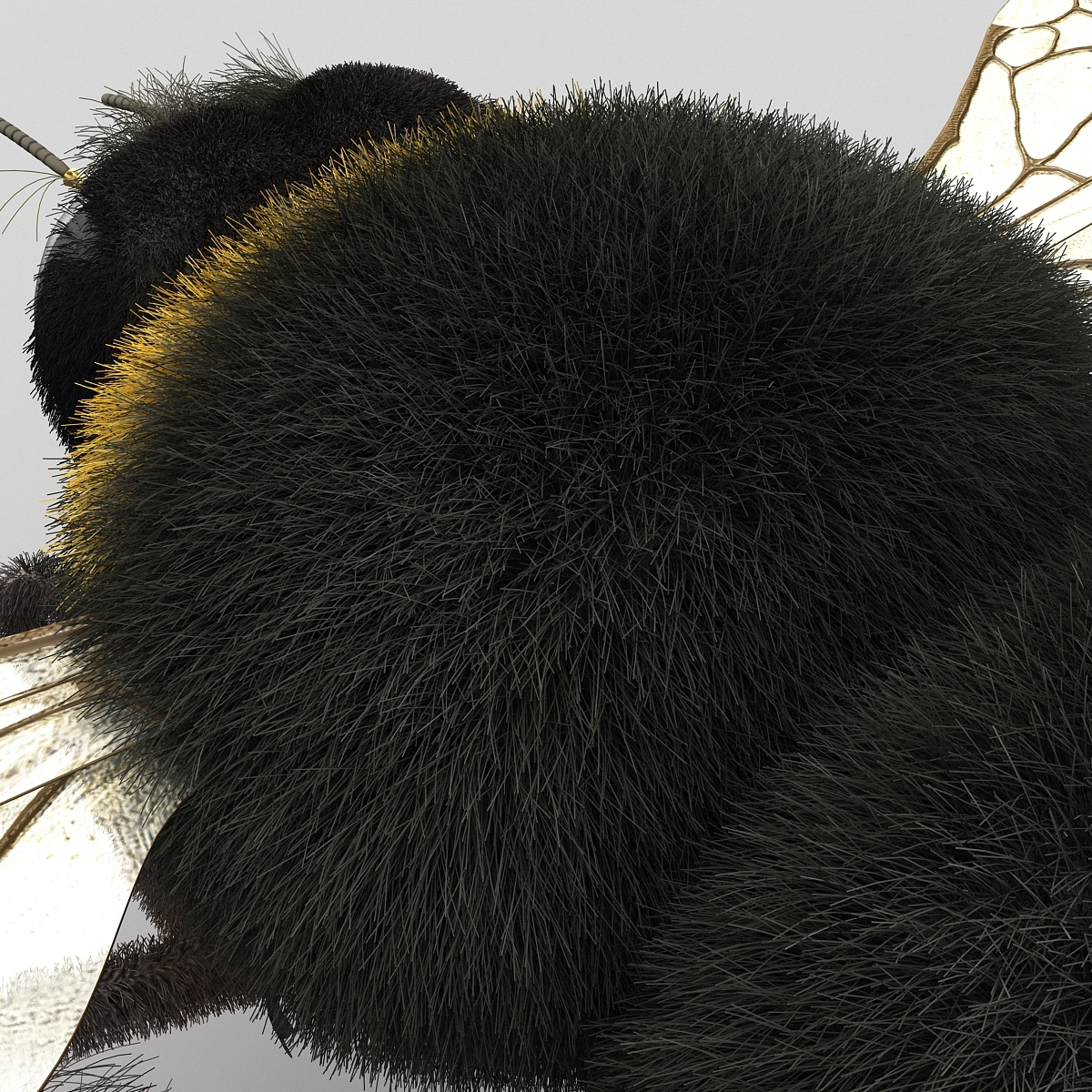 3d bumble bee fur model
