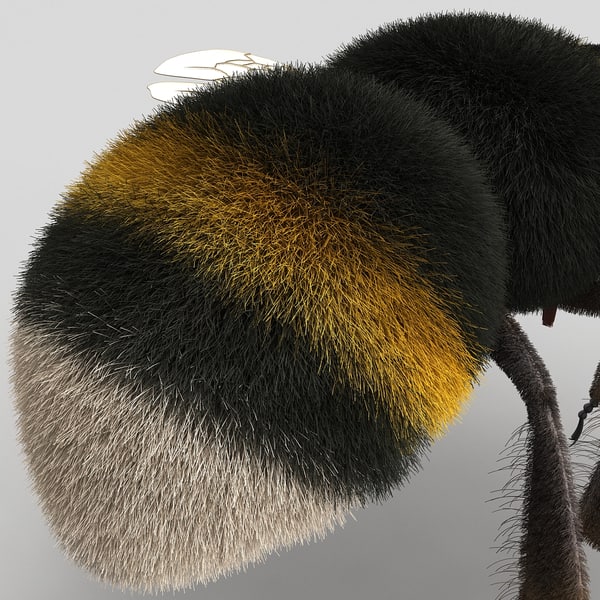 3d bumble bee fur model