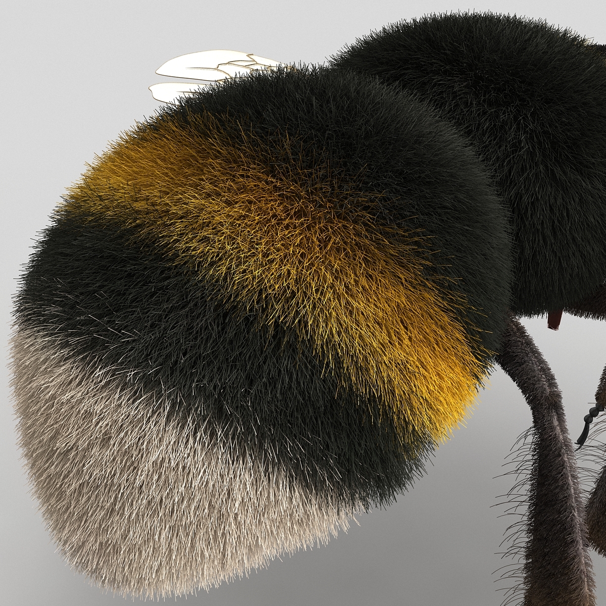 3d bumble bee fur model