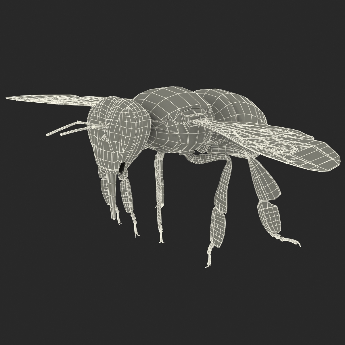 3d bumble bee fur model