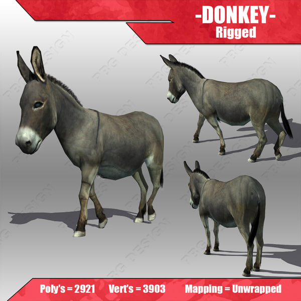 donkey 3d model