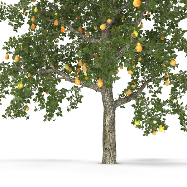 3dsmax fruit tree 2