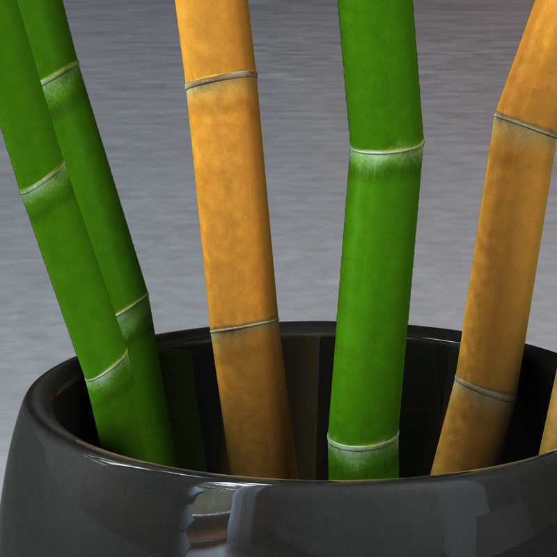 bamboo 3d max